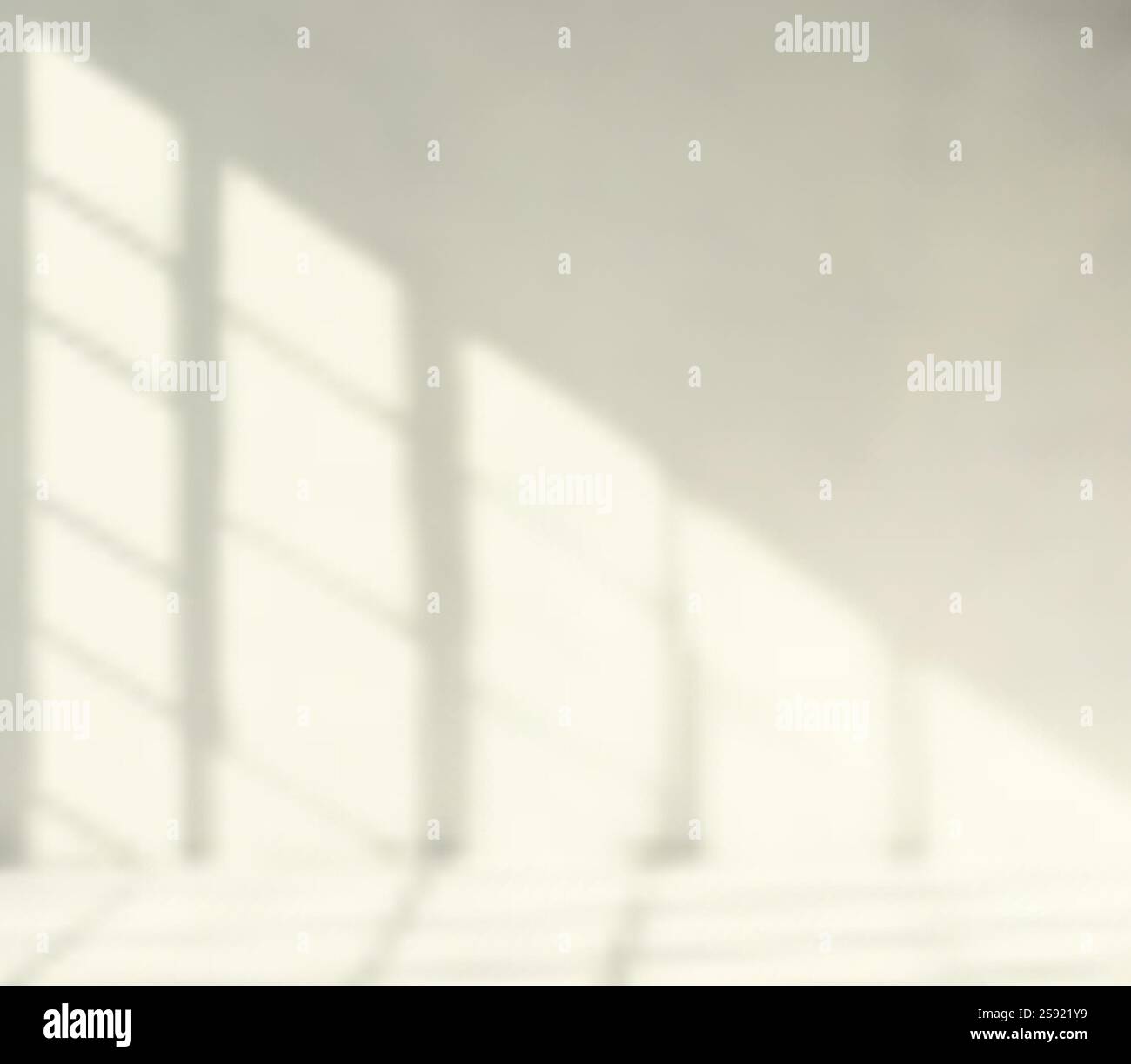 Soft Window Light and Plant Shadow Overlay for Minimalistic Branding ...