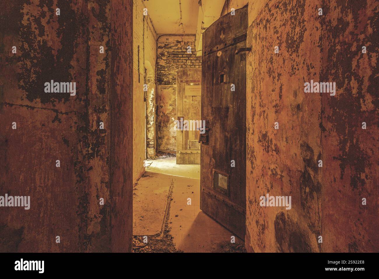 Dilapidated corridor with open doors and rusty walls, gloomy and ...