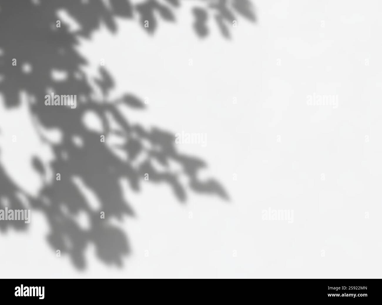 Soft Blurred Shadow Overlay with Natural Leaf Patterns for Elegant ...