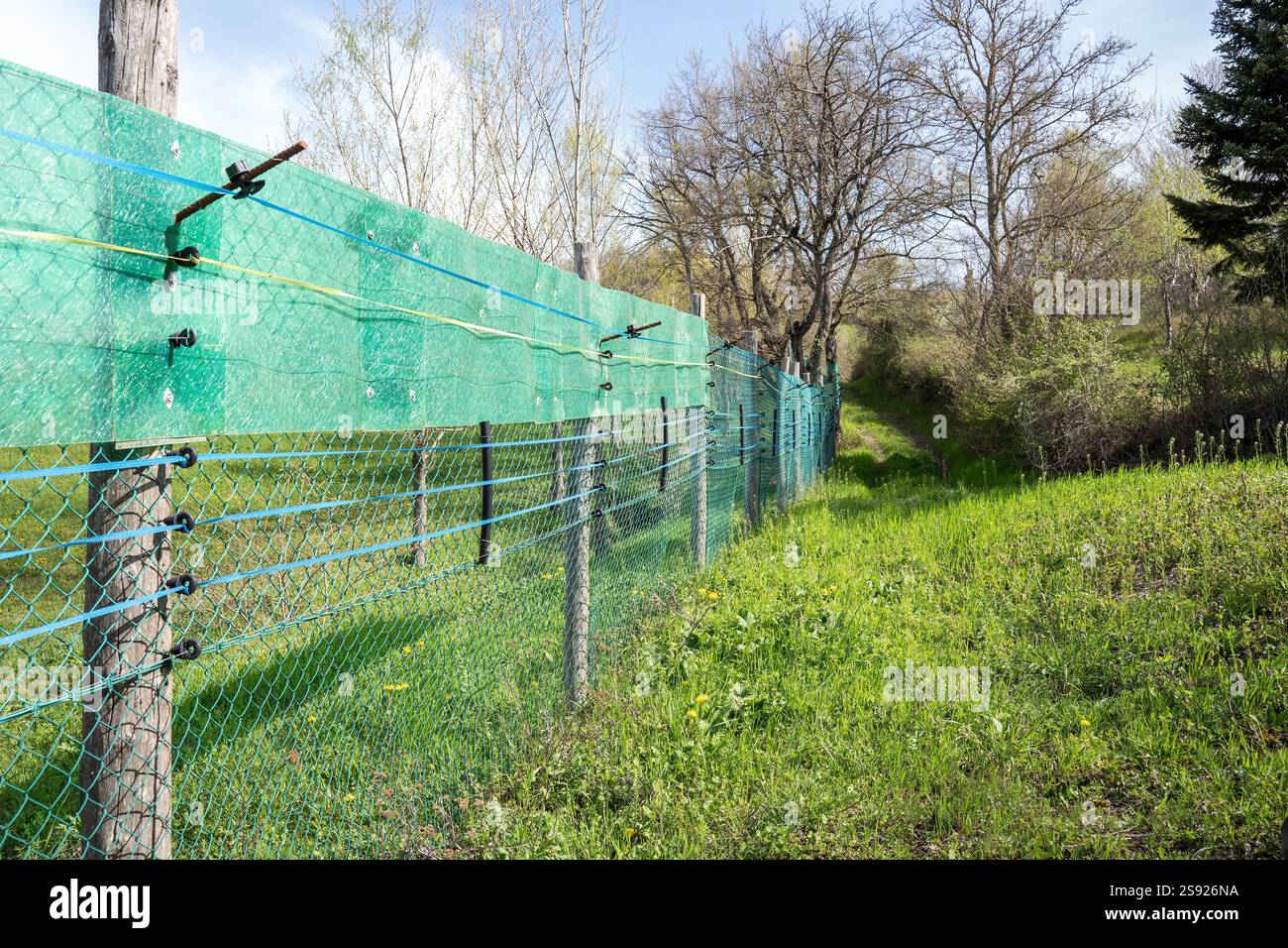 Wildlife farm fence in a natural outdoor setting. Two-meter-high wire ...