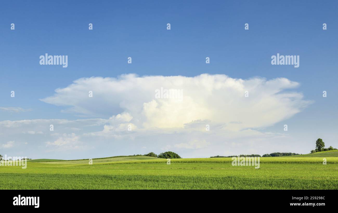 An image of a big anvil cloud on a hot summer day Stock Photo - Alamy