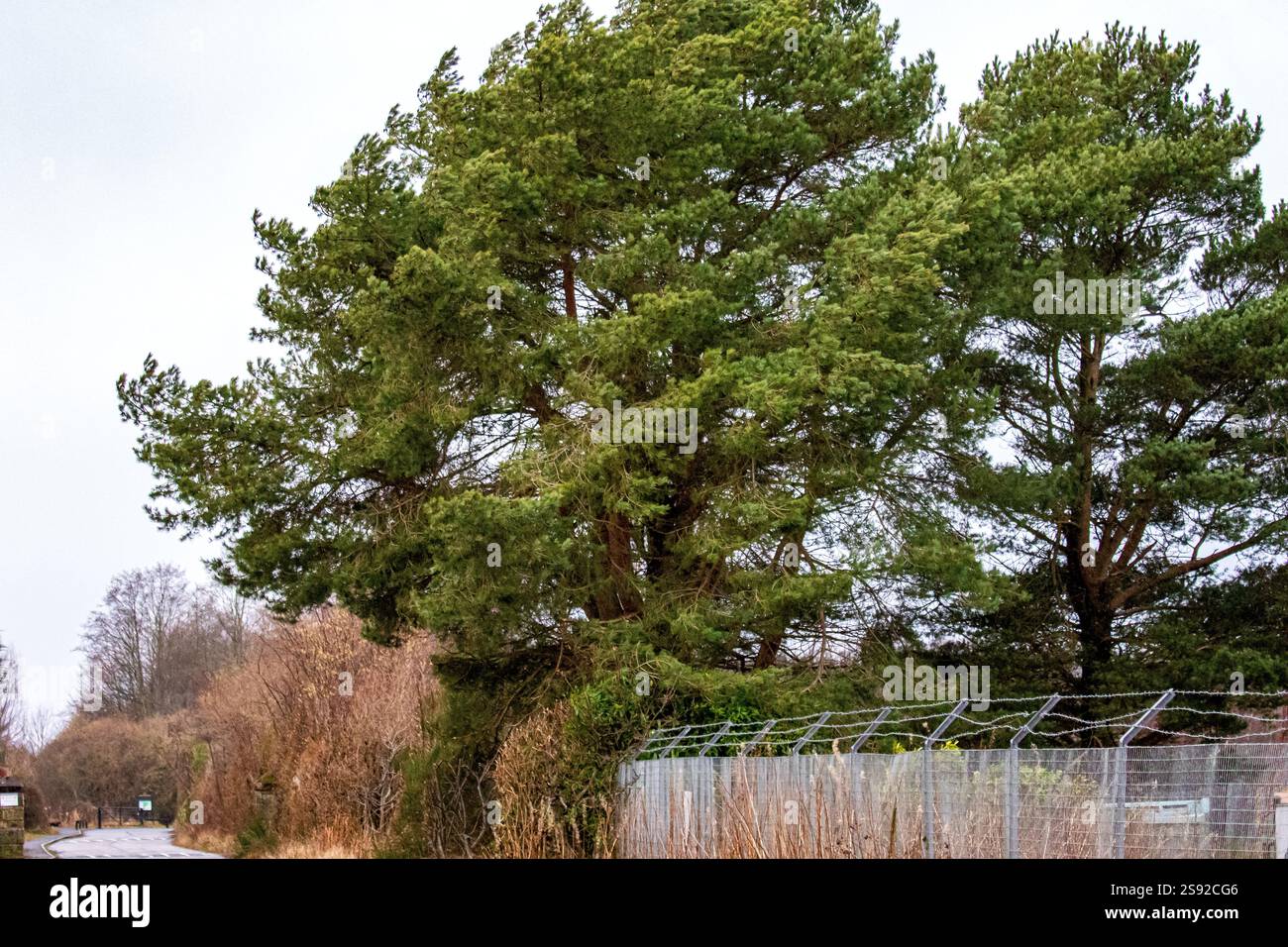 Dundee, Tayside, Scotland, UK. 24th Jan, 2025. UK Weather: Storm Eowyn ...