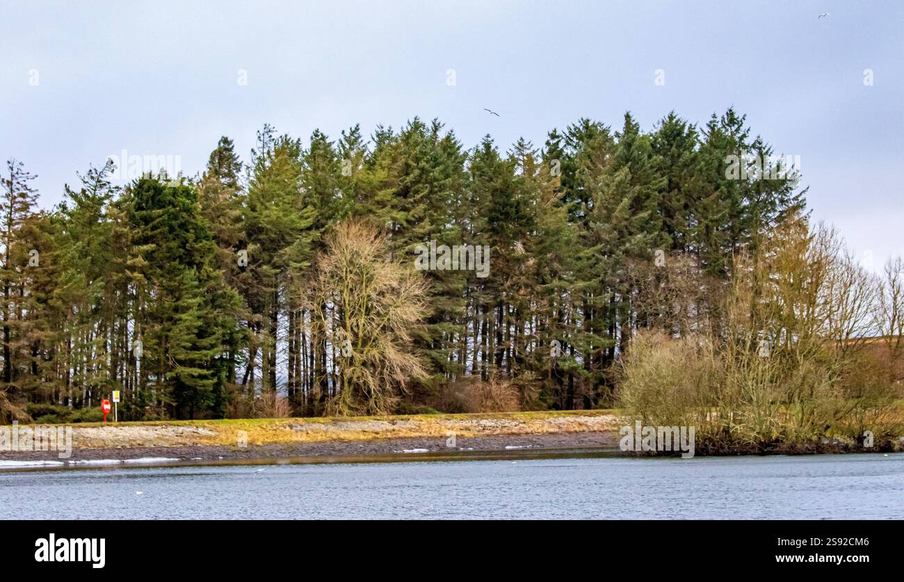 Dundee, Tayside, Scotland, UK. 24th Jan, 2025. UK Weather: Storm Eowyn ...