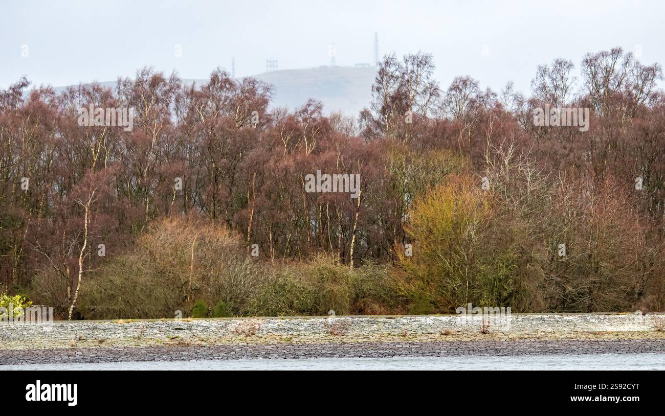 Dundee, Tayside, Scotland, UK. 24th Jan, 2025. UK Weather: Storm Eowyn ...