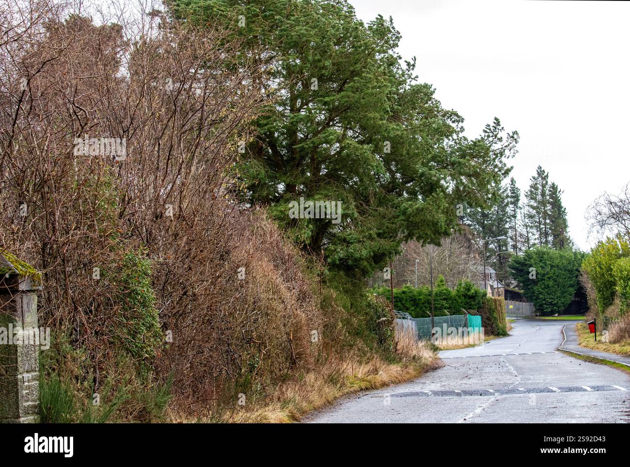 Dundee, Tayside, Scotland, UK. 24th Jan, 2025. UK Weather: Storm Eowyn ...