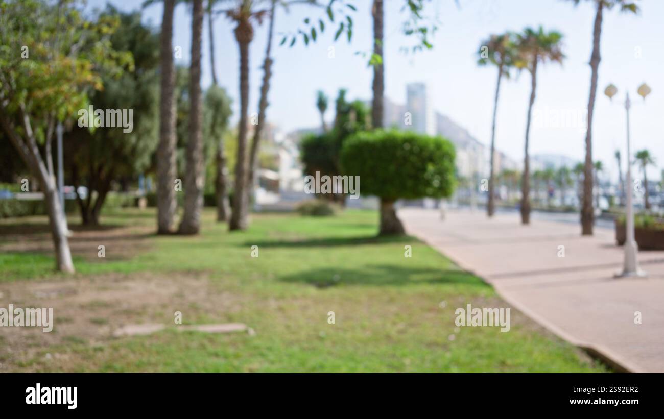 Blurred outdoor park scene with trees, grass, walkway, and distant ...