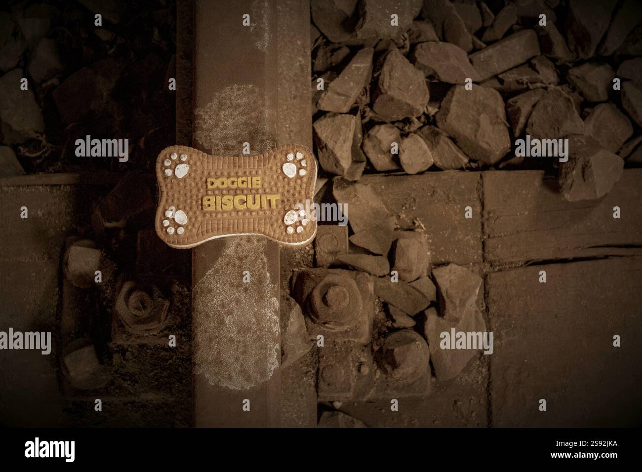 Close-up of a dog biscuit on railway tracks surrounded by stones ...