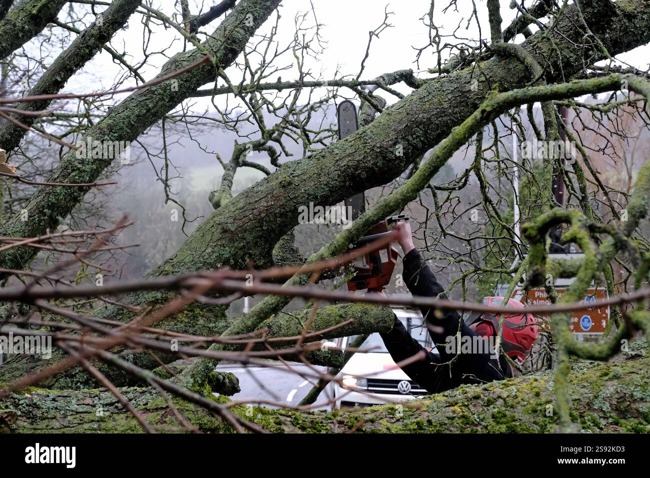 Locals help clear a fallen tree near to Selkirk Rugby Club as it blocks ...