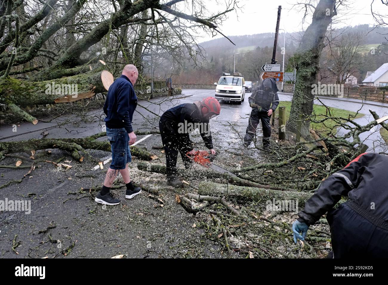 Locals help clear a fallen tree near to Selkirk Rugby Club as it blocks ...