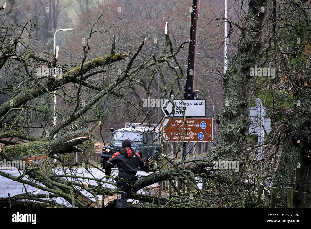 Storm eowyn tree blocks road hi-res stock photography and images - Alamy