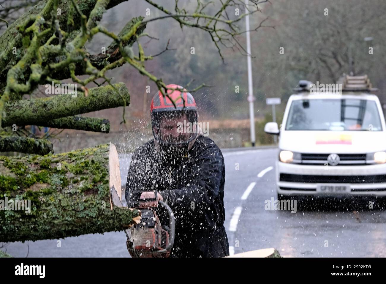 Storm eowyn tree blocks road hi-res stock photography and images - Alamy