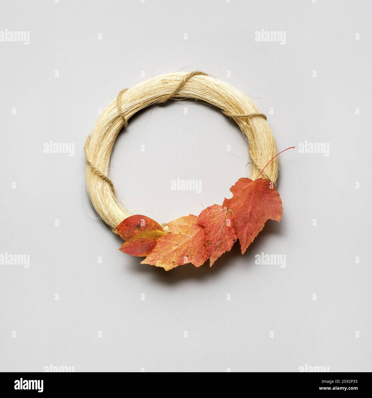 Creative Thanksgiving Day concept photo of leaves on grey background ...