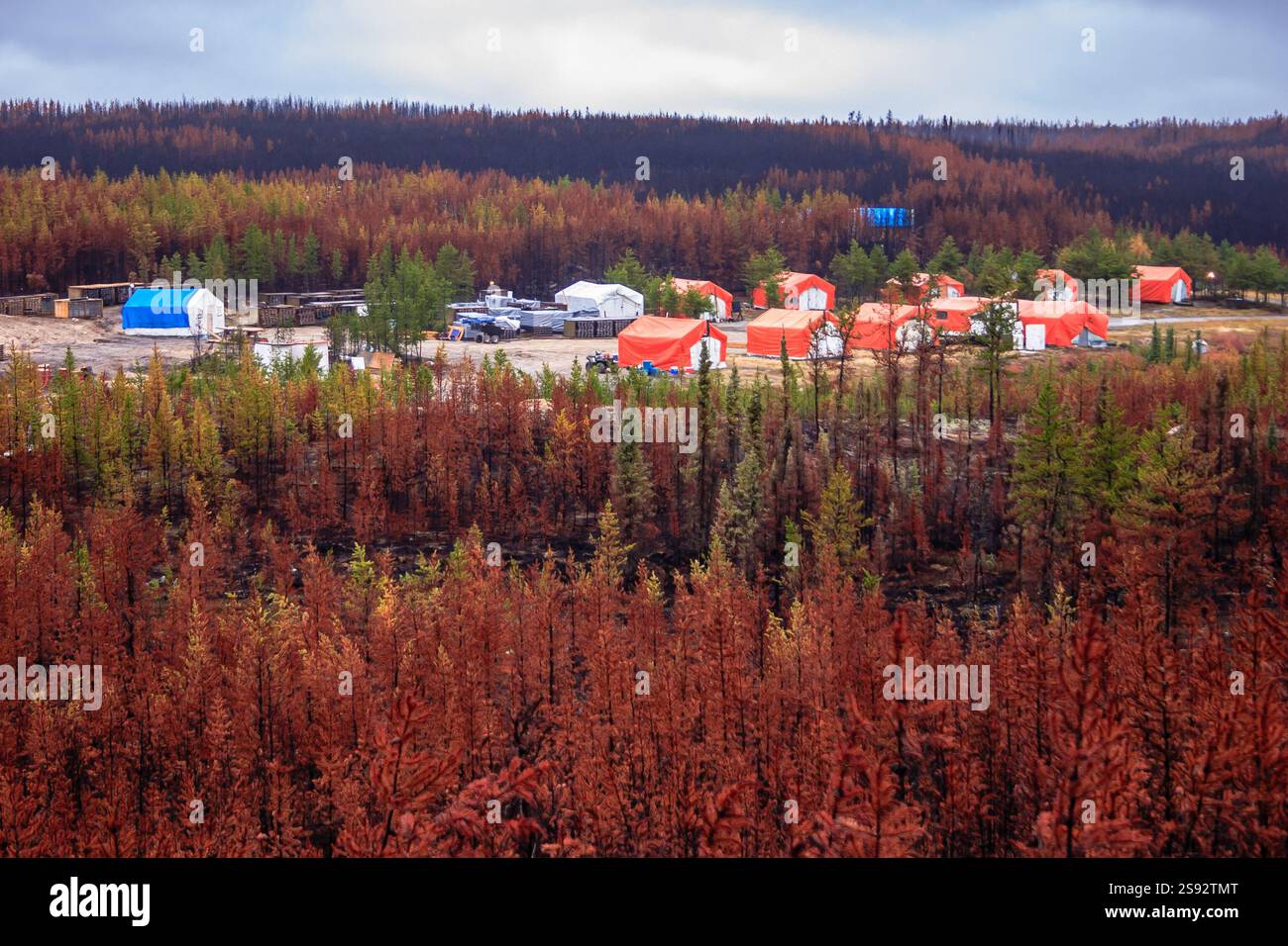 Aerial view forest few buildings hi-res stock photography and images ...