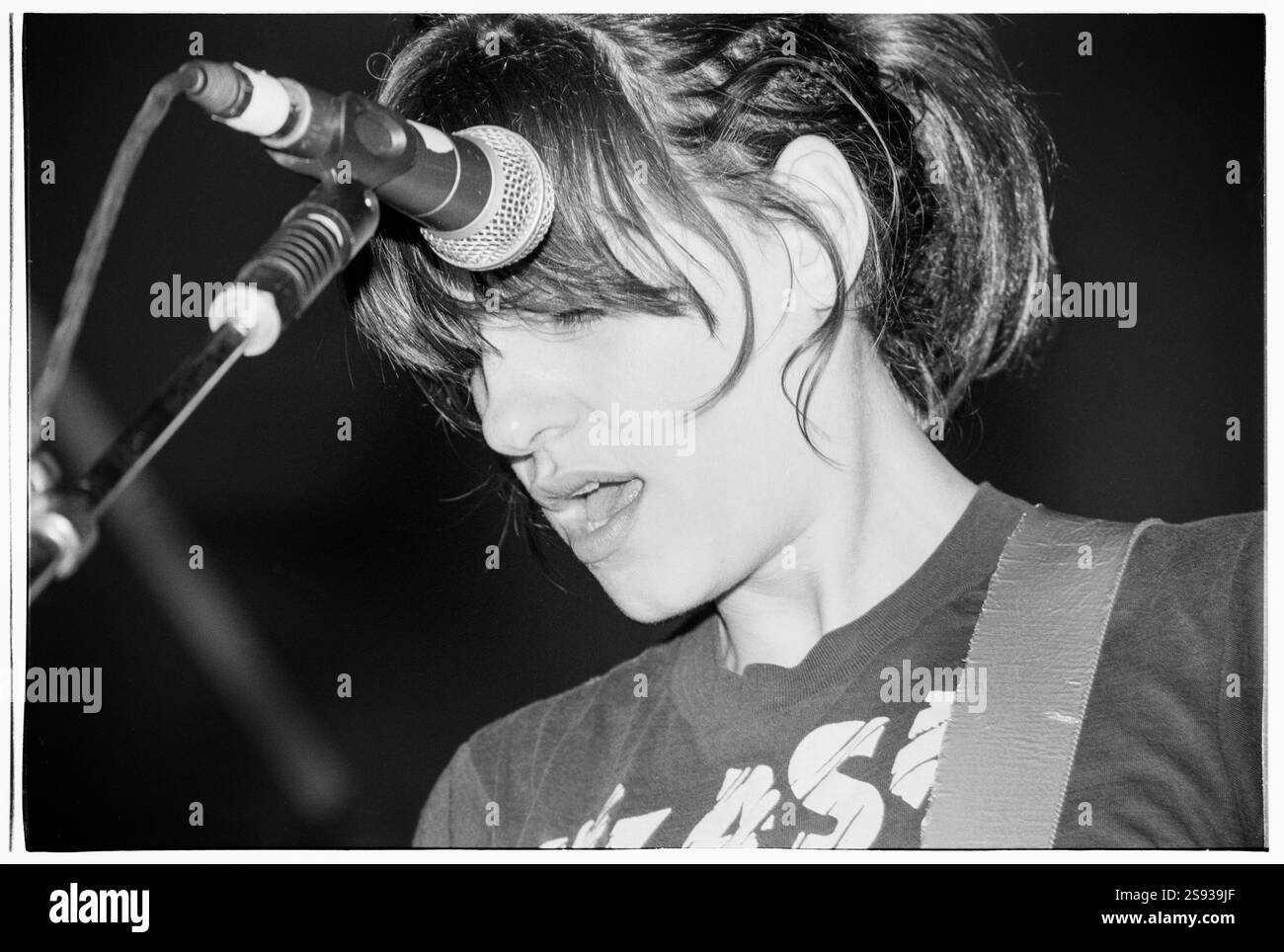 Musician in stage Cut Out Stock Images & Pictures - Alamy