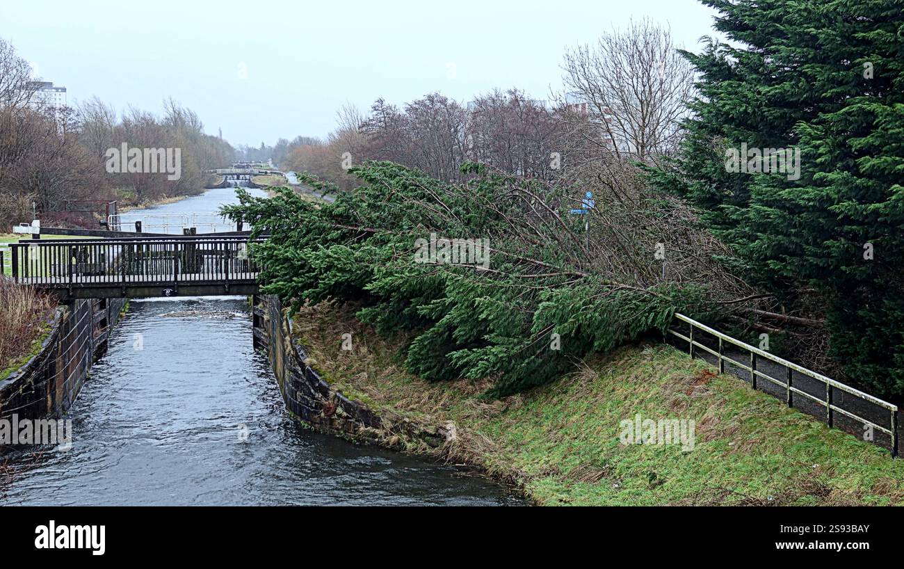 Glasgow, Scotland, UK. 24th January, 2025. UK Weather:. Storm eowyn saw ...