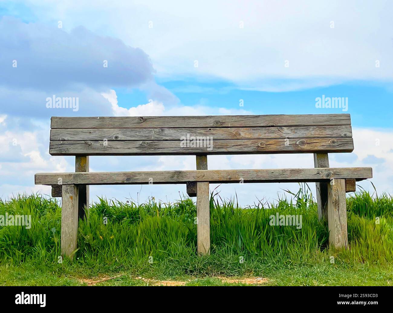 Wooden bench on grass Stock Photo - Alamy
