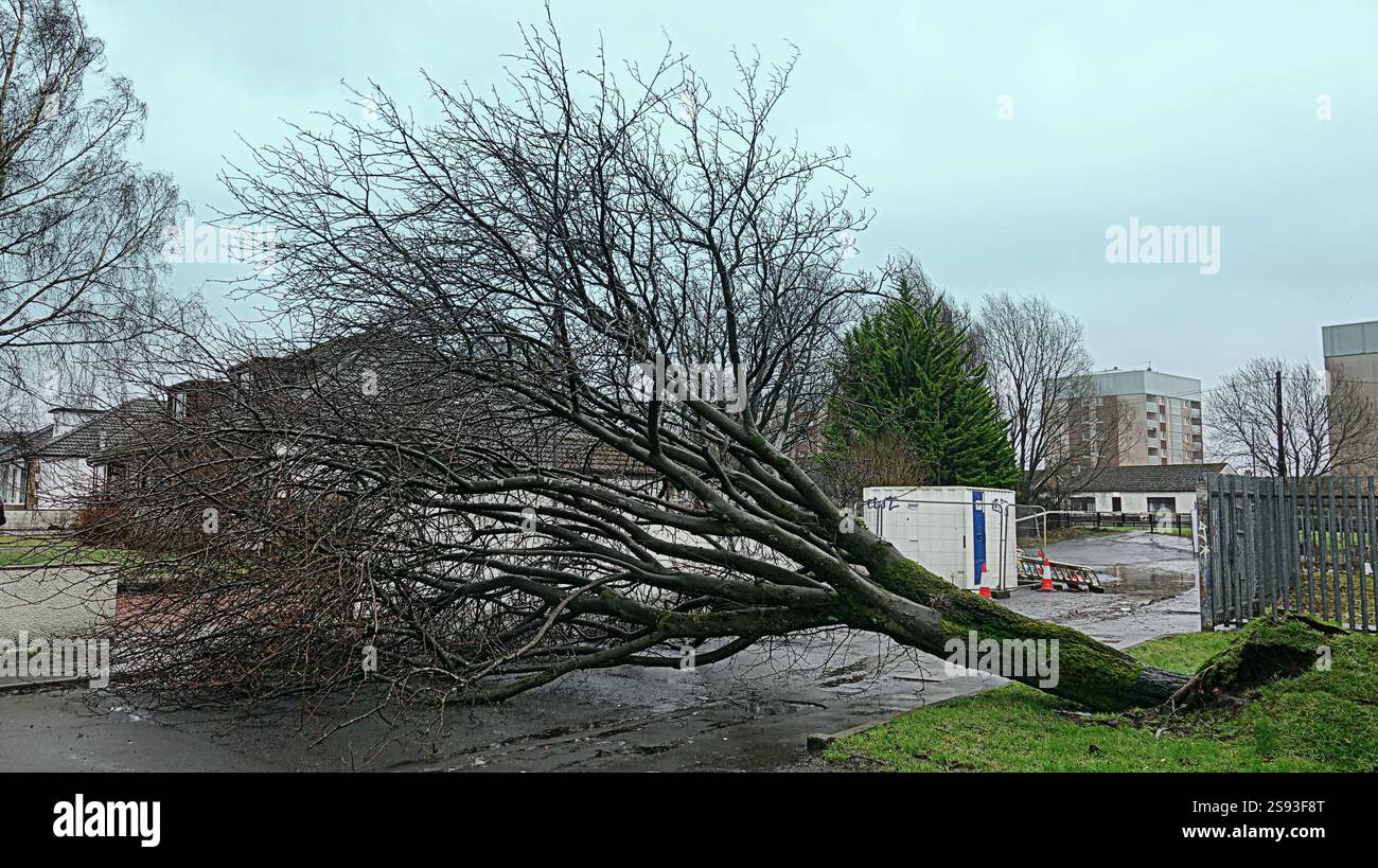 Glasgow, Scotland, UK. 24th January, 2025. UK Weather:. Storm eowyn saw ...