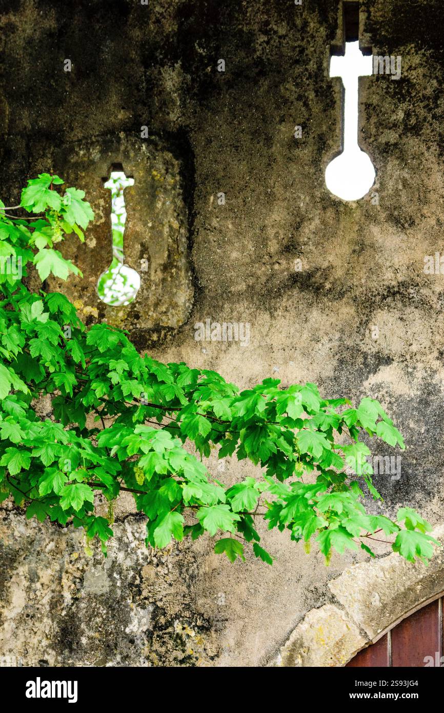 Templar Castle of Tomar, year 1162, national monument, Tomar, Santarem ...