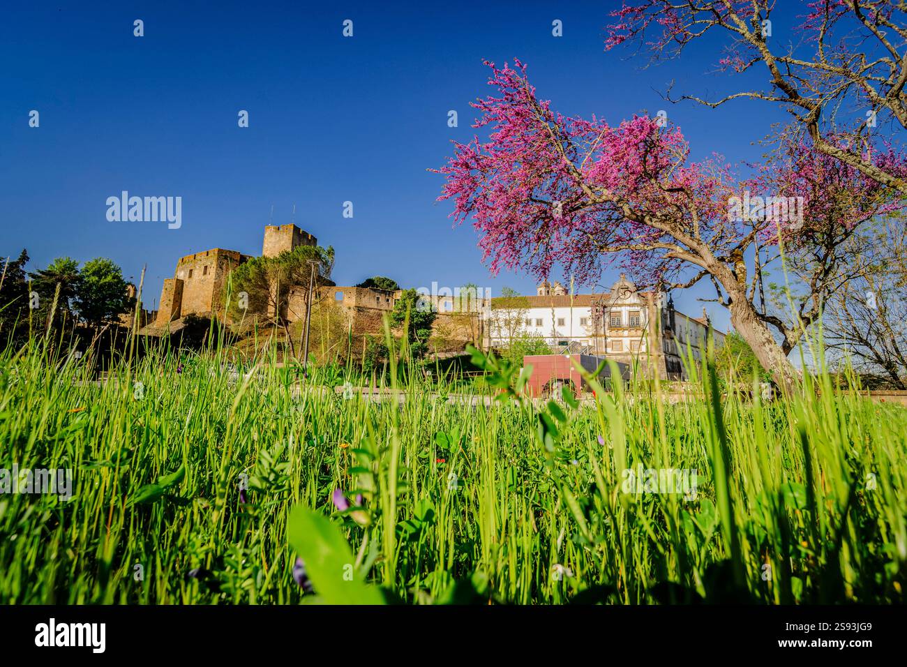 Templar Castle of Tomar, year 1162, national monument, Tomar, Santarem ...