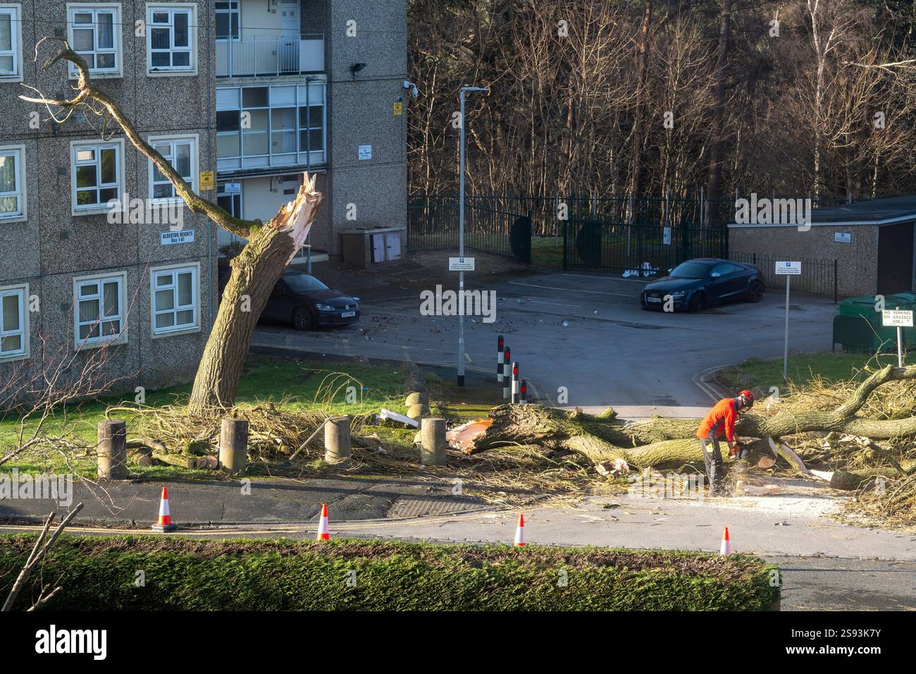 2025-01-24 Storm Éowyn, Tree Damage, Alderton Hieghts Counicl Flats ...