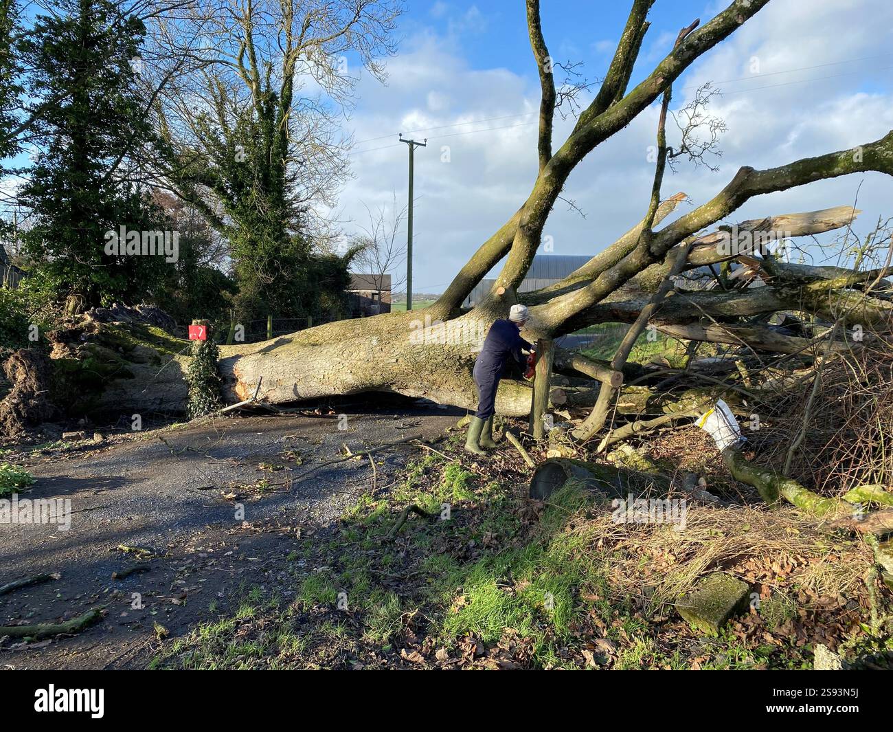 A large fallen tree in Dromore, Co Down. Residents across Ireland have ...