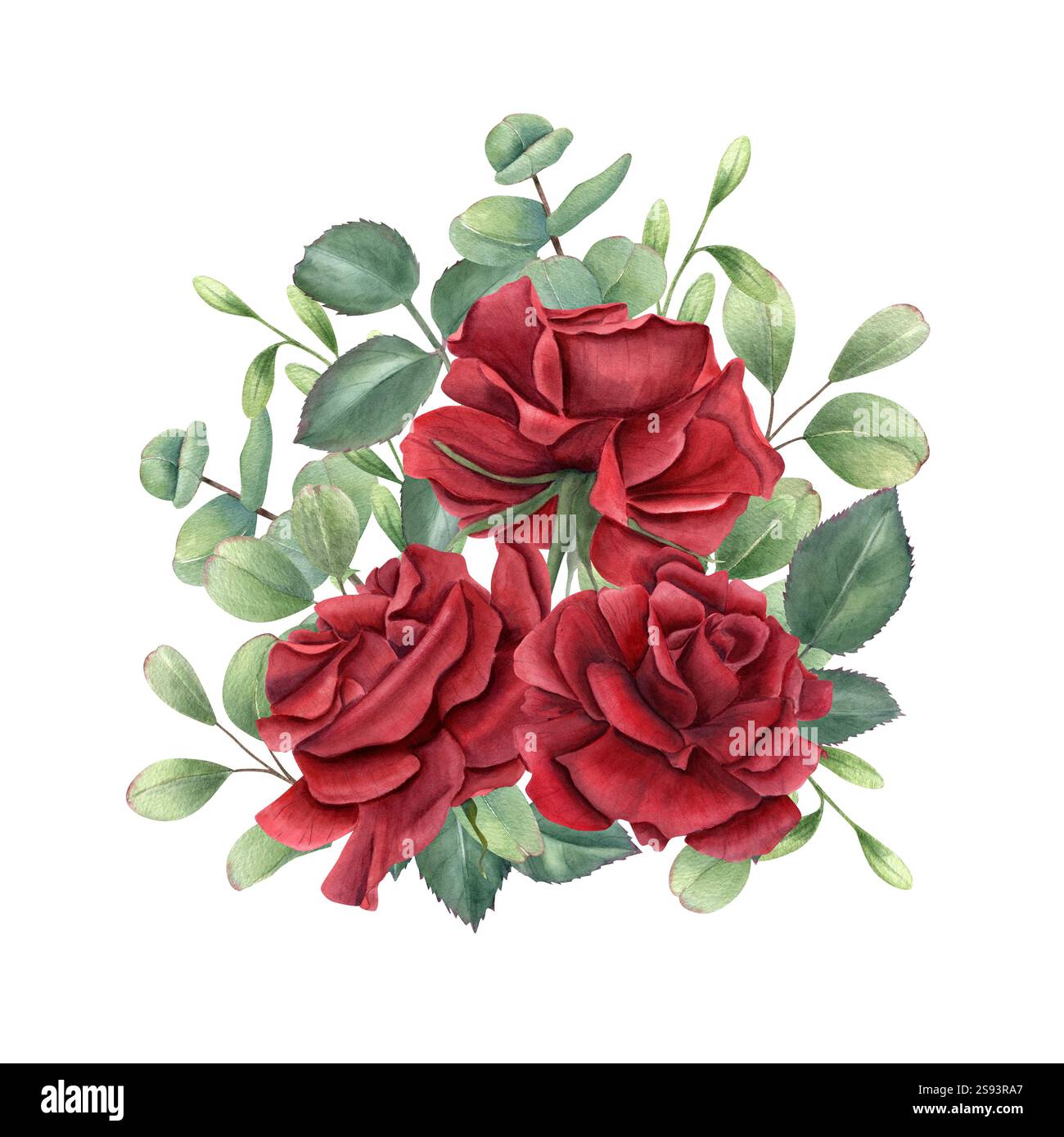 Three dark ruby roses head, eucalyptus branches bouquet watercolor ...