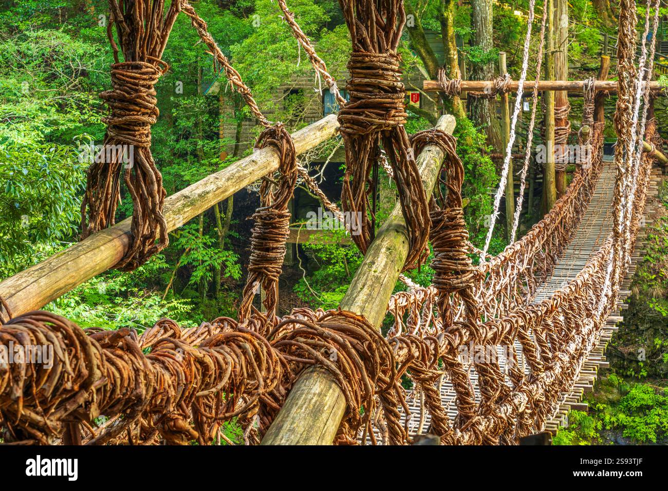 Iya Valley, Tokushima, Japan at the Kazurabashi vine bridge. Though ...