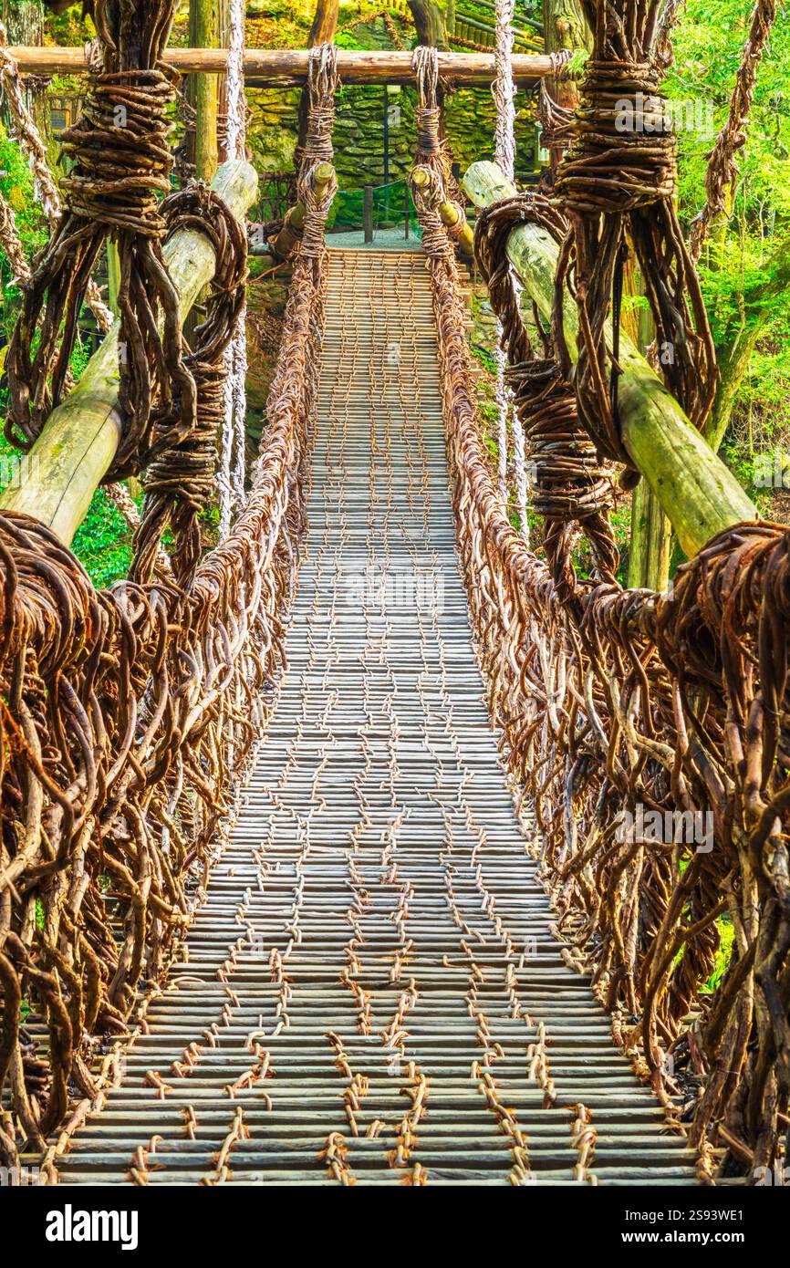 Iya Valley, Tokushima, Japan at the Kazurabashi vine bridge. Though ...