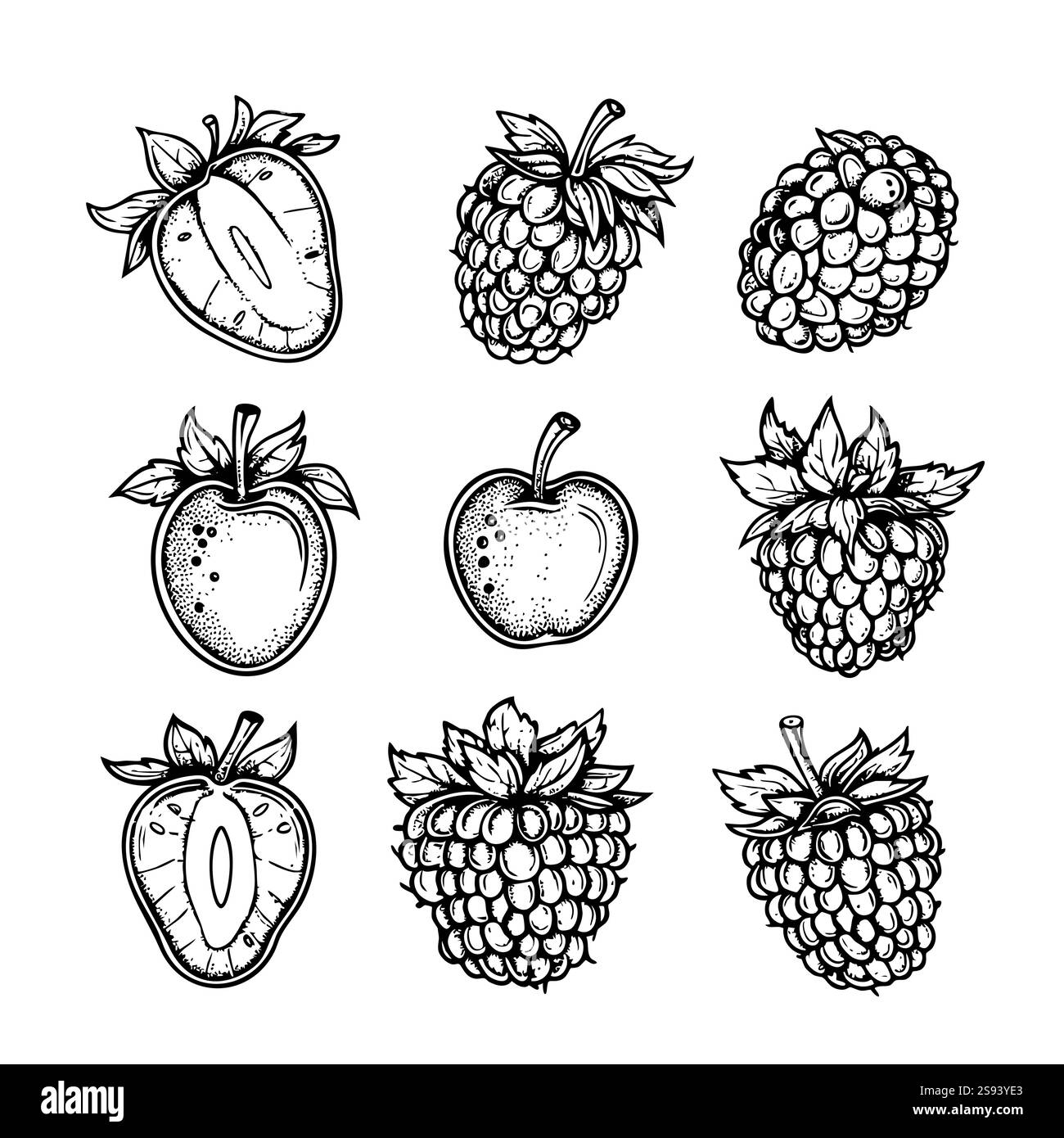 Vector set of hand drawn raspberry Stock Vector Image & Art - Alamy