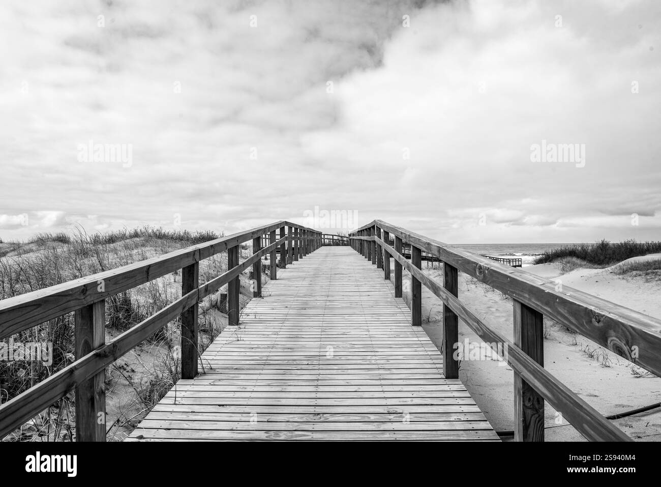 Wooden boardwalk path extending calm hi-res stock photography and ...