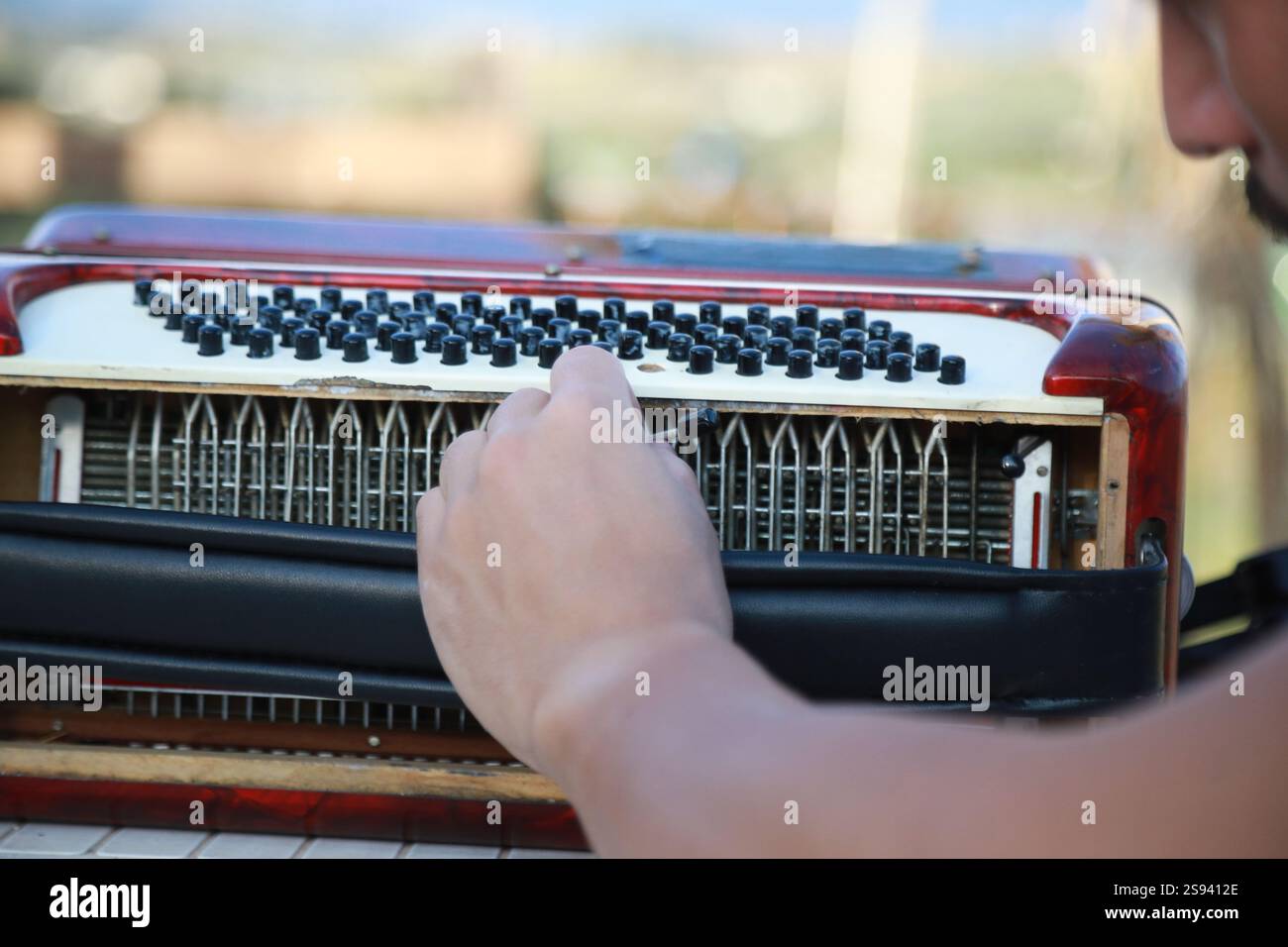 Metal Parts Of The Accordion During Tuning Stock Photo - Alamy