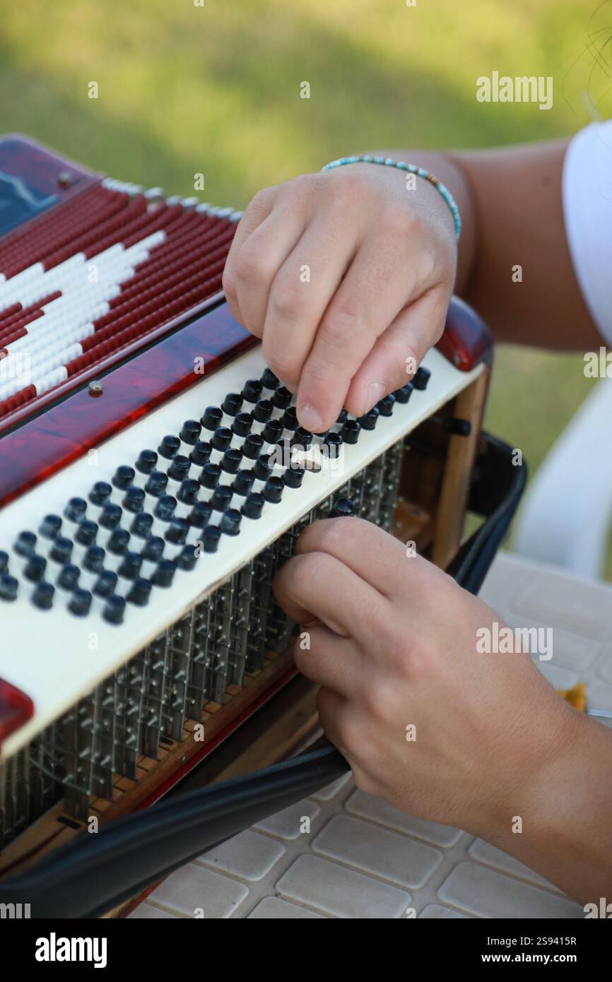 Metal Parts Of The Accordion During Tuning Stock Photo - Alamy