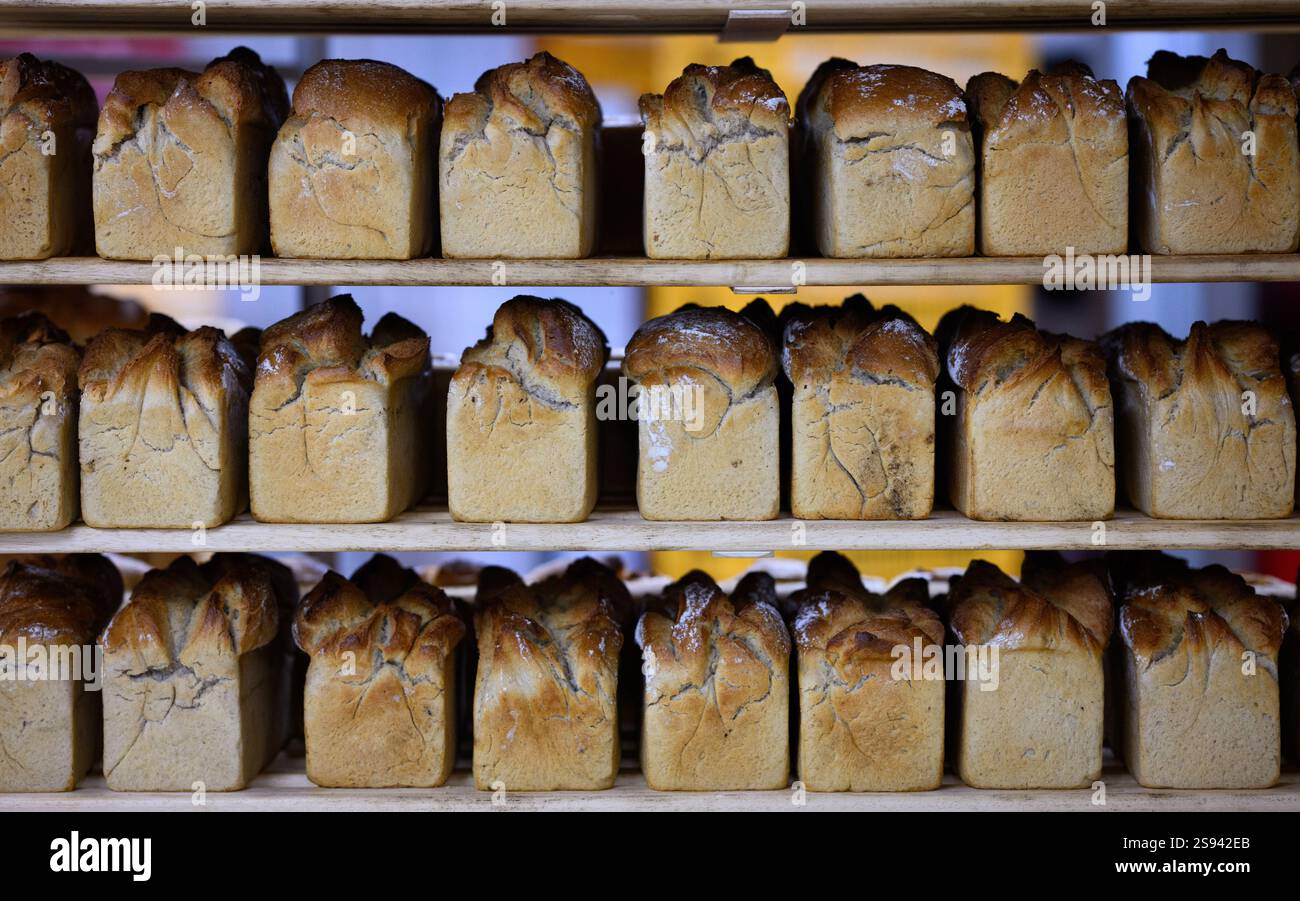 24 January 2025, Berlin: Freshly baked bread is ready to be transported ...