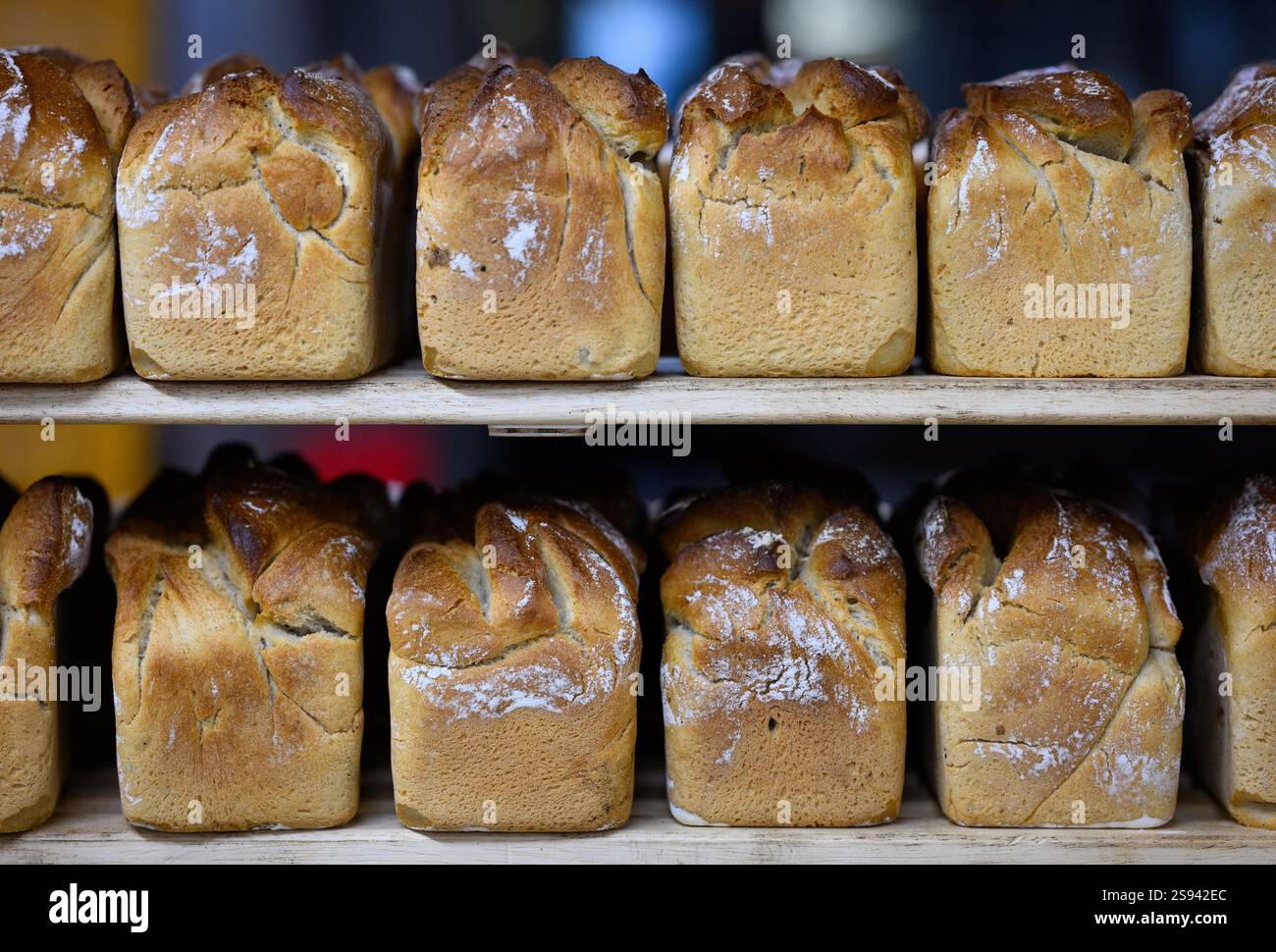 24 January 2025, Berlin: Freshly baked bread is ready to be transported ...