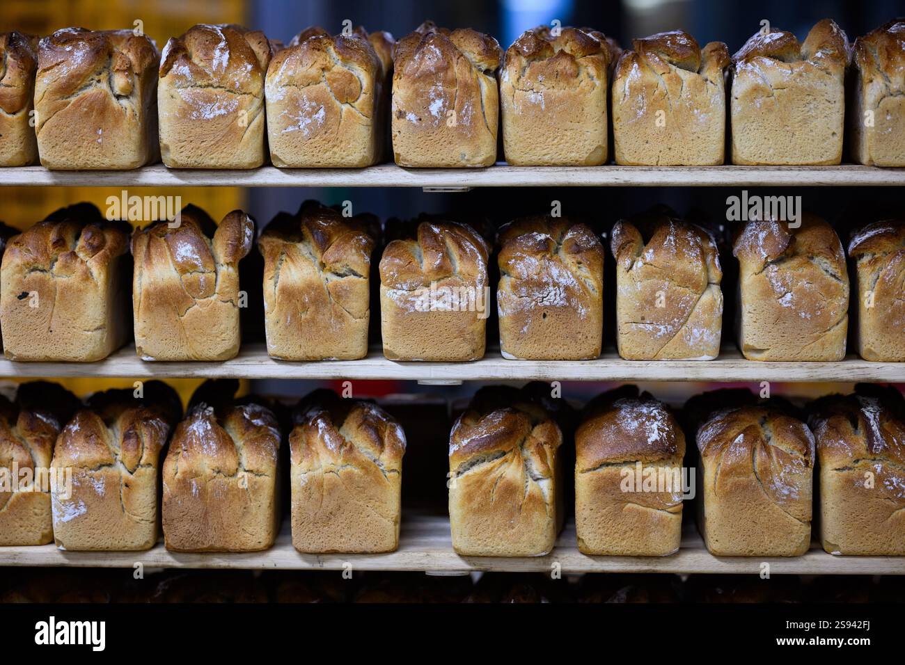 24 January 2025, Berlin: Freshly baked bread is ready to be transported ...