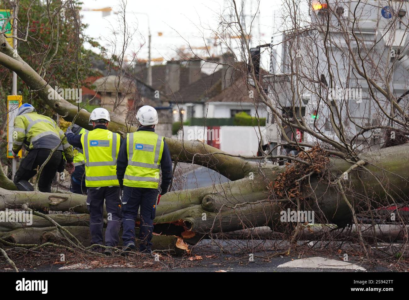 ESB workers survey a fallen tree which crashed through the wall of ...