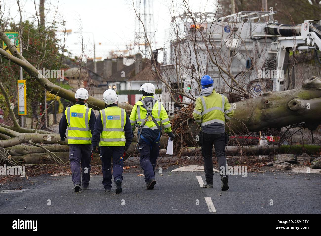 ESB workers survey a fallen tree which crashed through the wall of ...