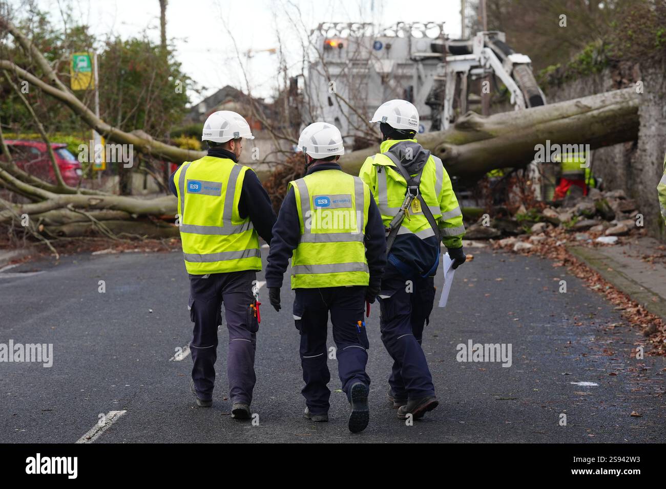 ESB workers survey a fallen tree which crashed through the wall of ...