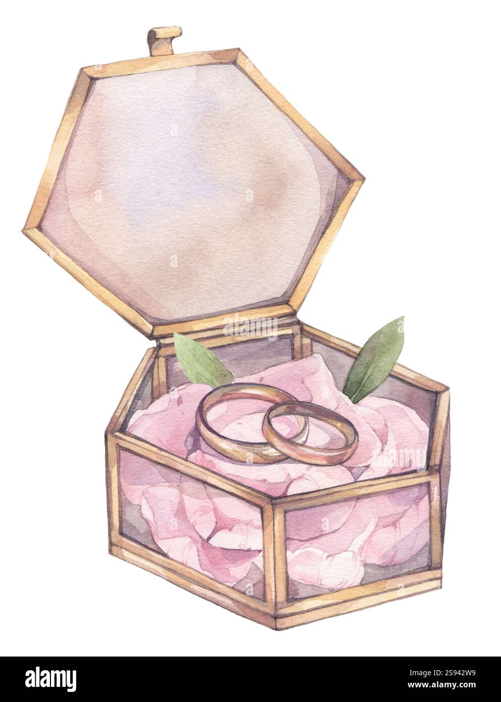 Wedding rings in a fancy box decorated with a flower. Hand-painted watercolor illustration Stock ...