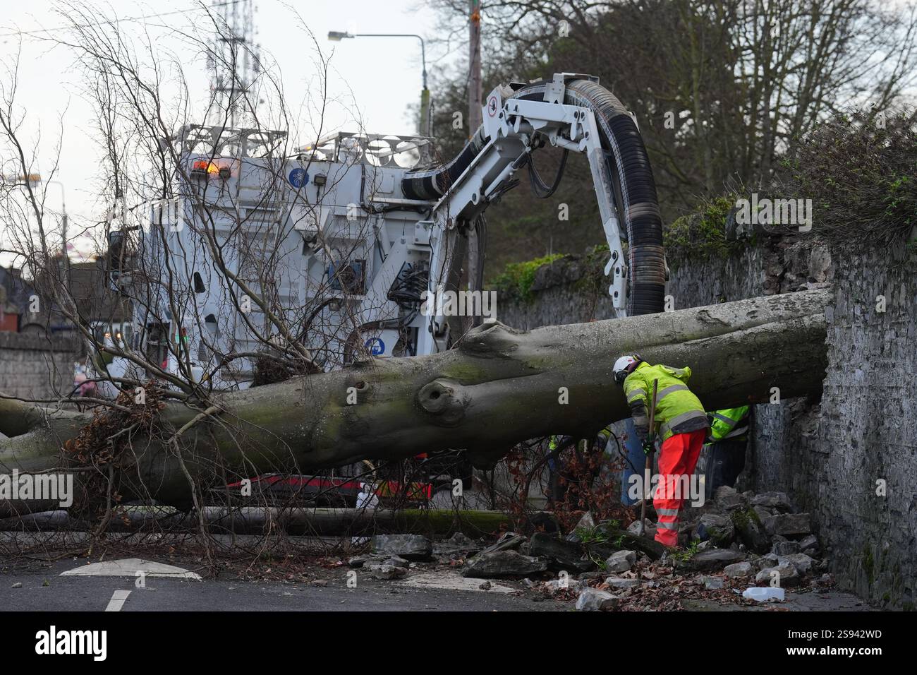 Workers survey a fallen tree which crashed through the wall of Phoenix ...
