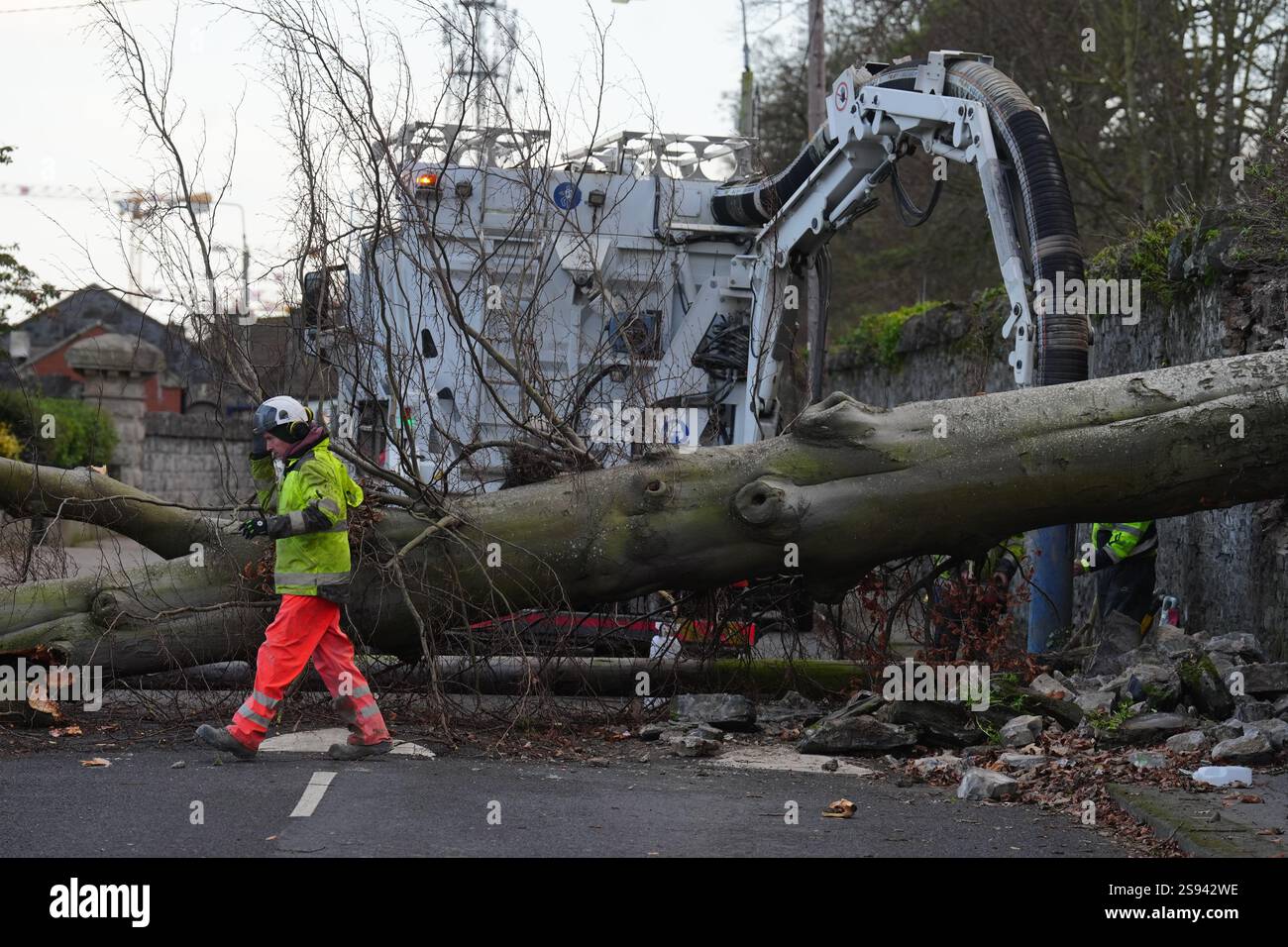 Workers survey a fallen tree which crashed through the wall of Phoenix ...