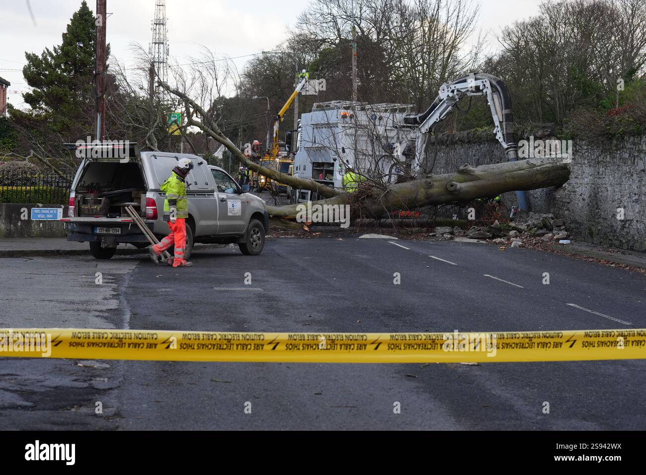 ESB workers survey a fallen tree which crashed through the wall of ...