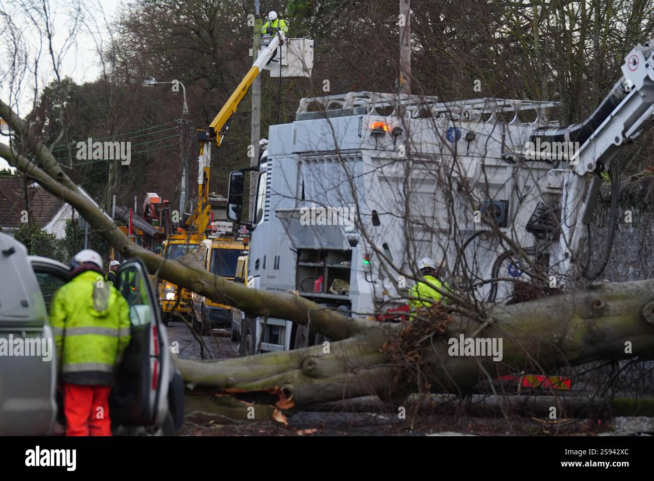 ESB workers survey a fallen tree which crashed through the wall of ...