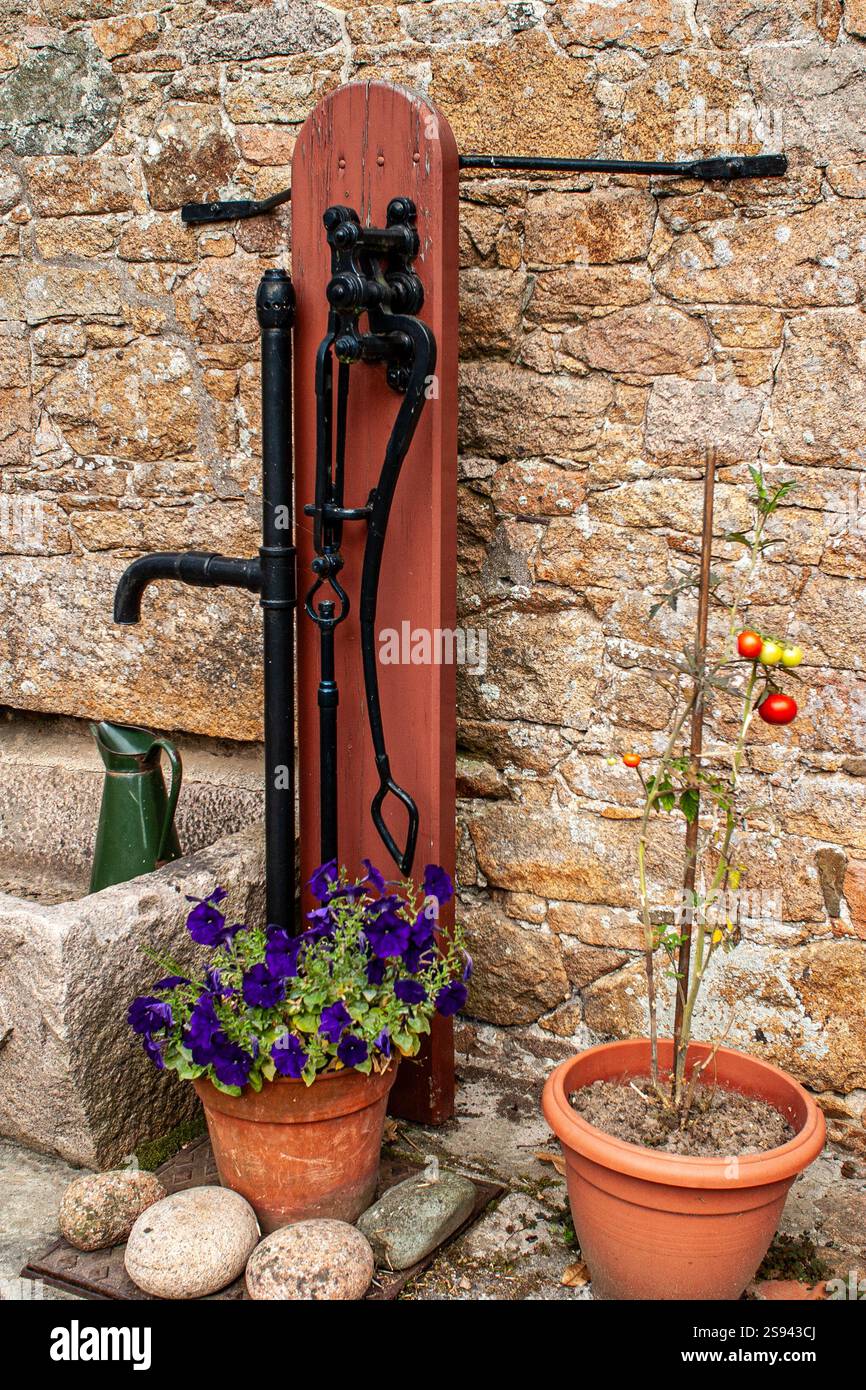 Old fashioned hand operated water pump with stone trough & potted ...