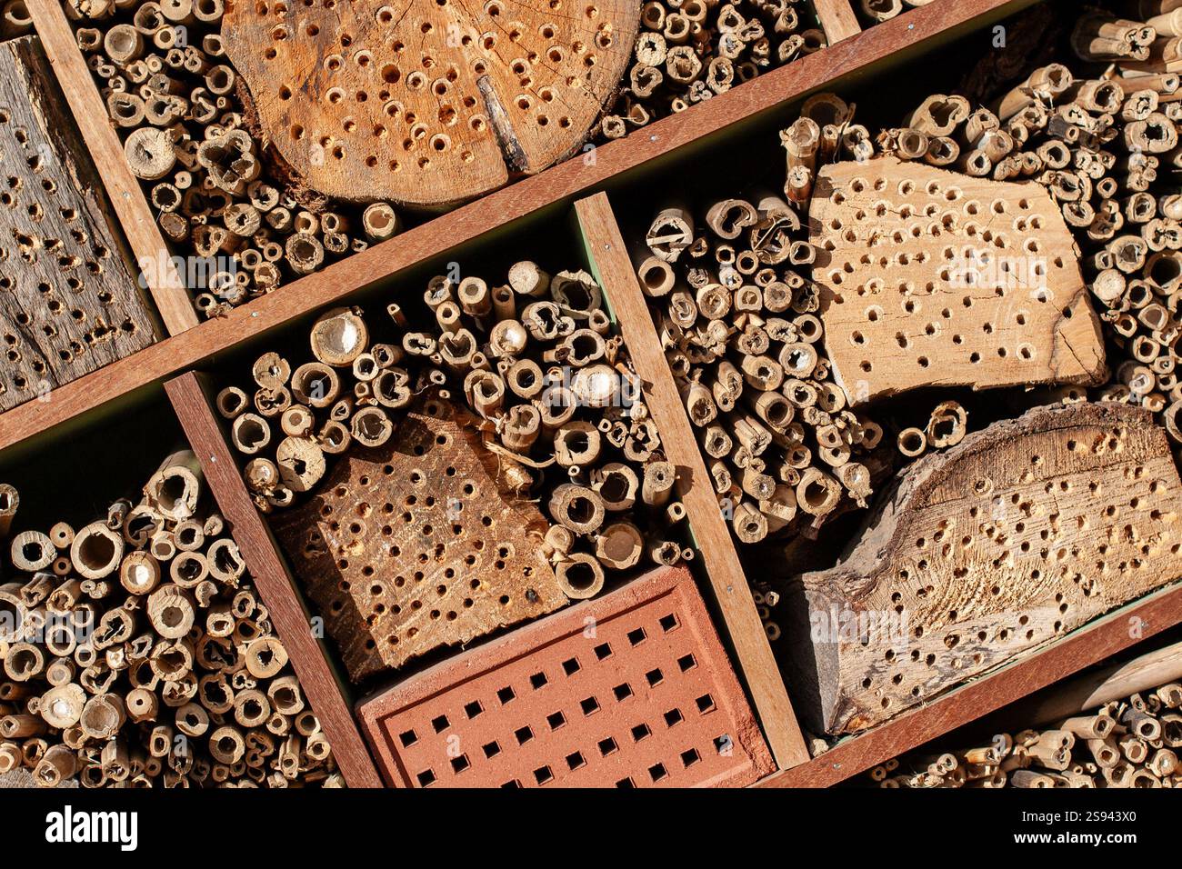 Insect tower to attract a wide variety of insects, Durrell Wildlife ...