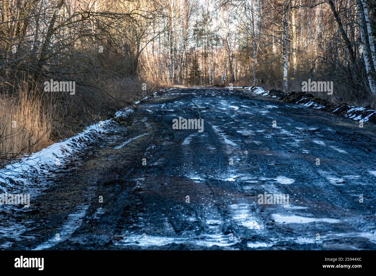 landscape with a muddy, wet road, mud texture, snow remnants, winter ...