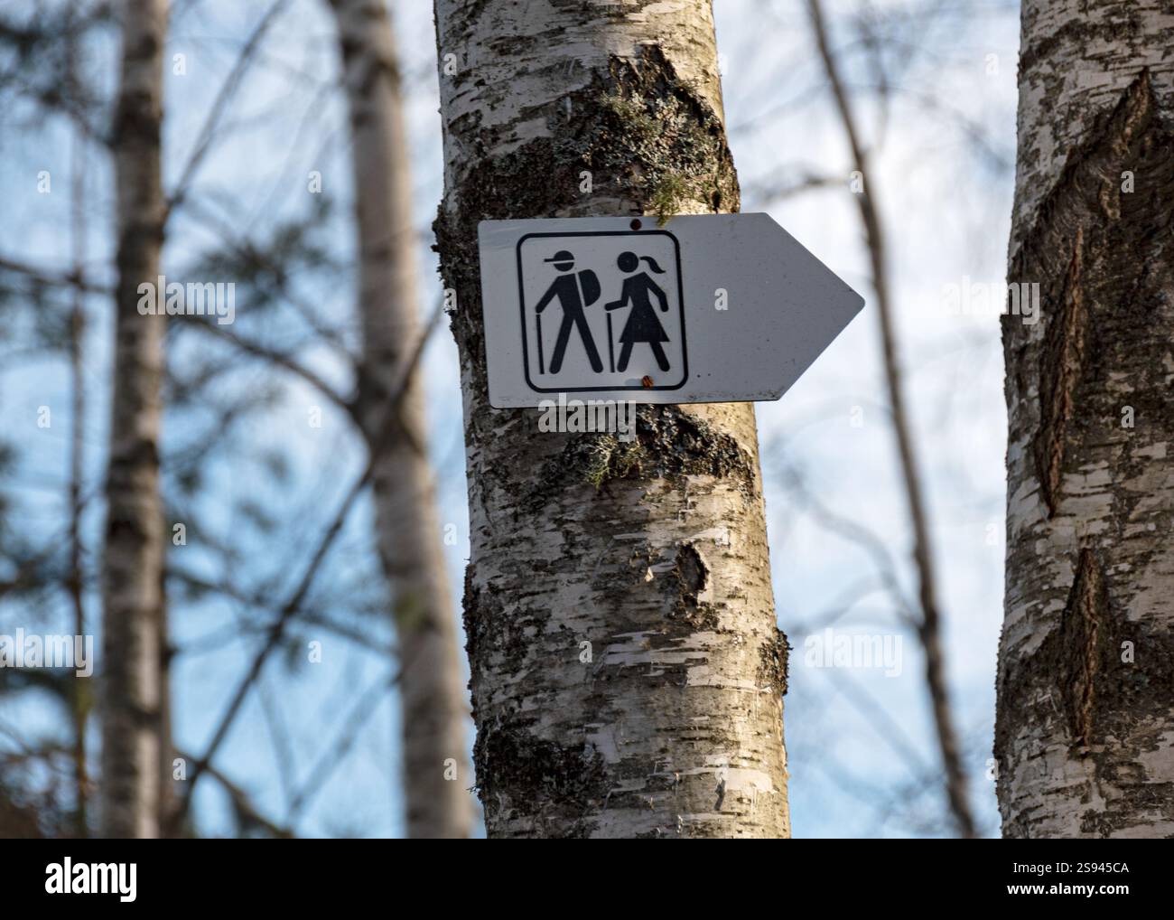 road signs indicating the direction of a pedestrian path, signposts in ...