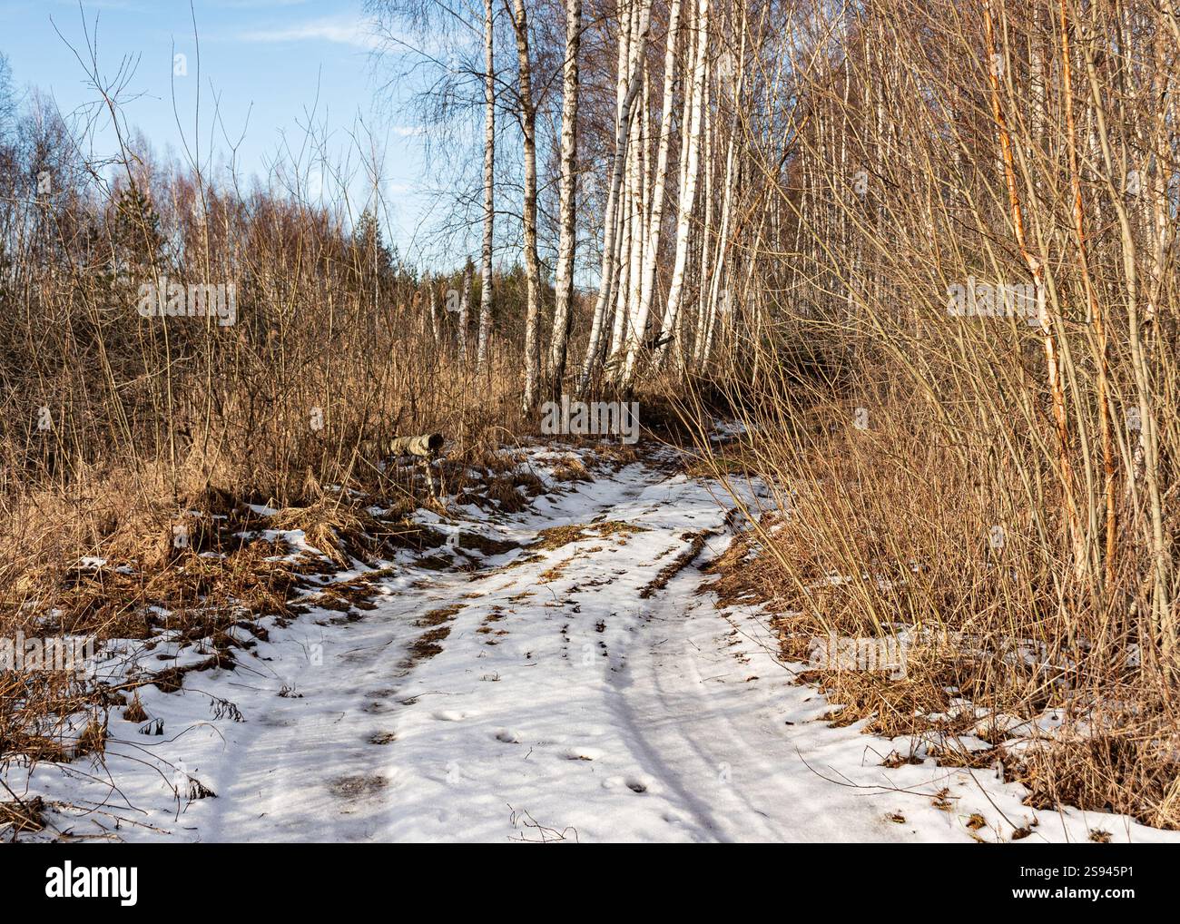 landscape with a muddy, wet road, mud texture, snow remnants, winter ...