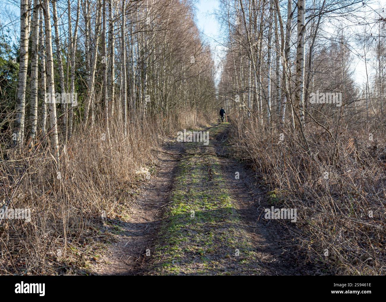 landscape with a muddy, wet road, mud texture, snow remnants, winter ...