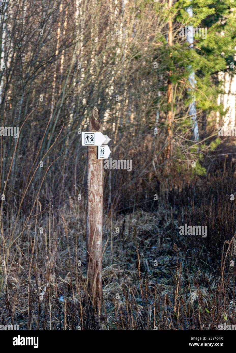 road signs indicating the direction of a pedestrian path, signposts in ...